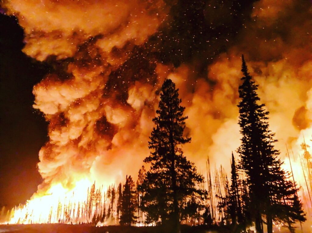Why Modern Fire Detectors Are Revolutionary Life-Savers